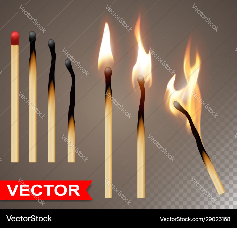 Realistic wooden burning matches with flame Vector Image