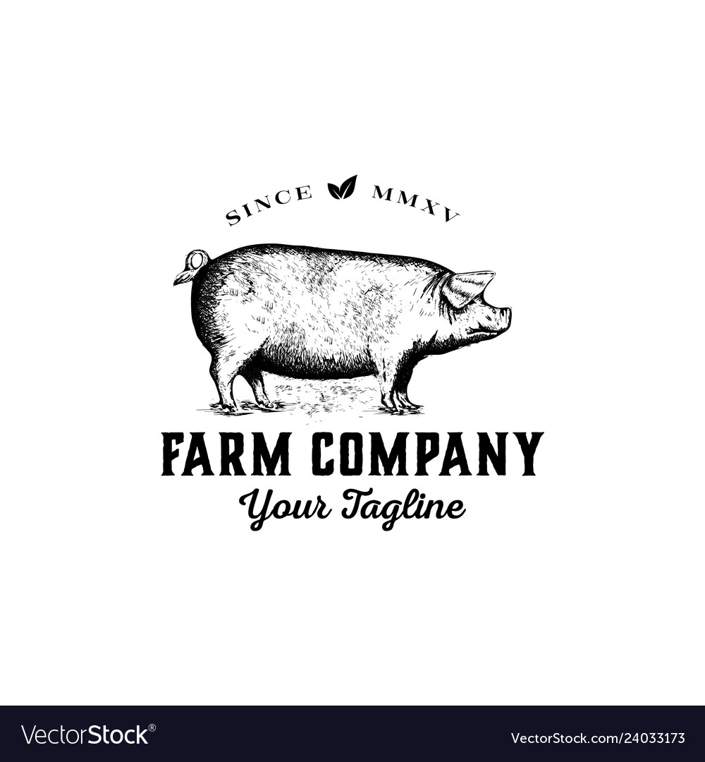 Pig logo farm Royalty Free Vector Image - VectorStock