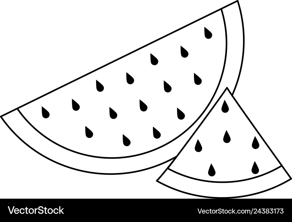 Watermelon fruit slices in black and white Vector Image