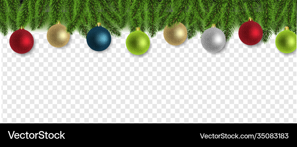 Christmas fir tree border transparent background Vector Image