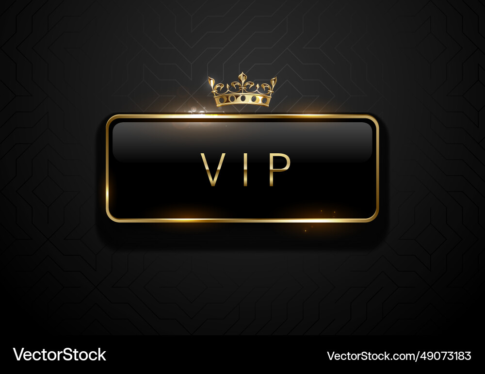 Vip black label with golden frame sparks Vector Image