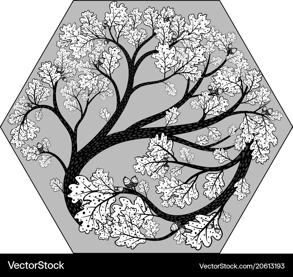 Beautiful oak tree in hexahedron Royalty Free Vector Image