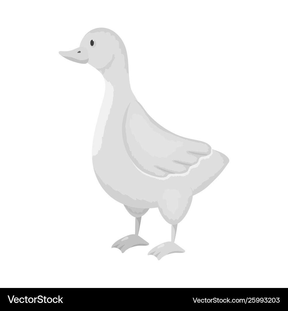 Design goose and pet sign collection Royalty Free Vector