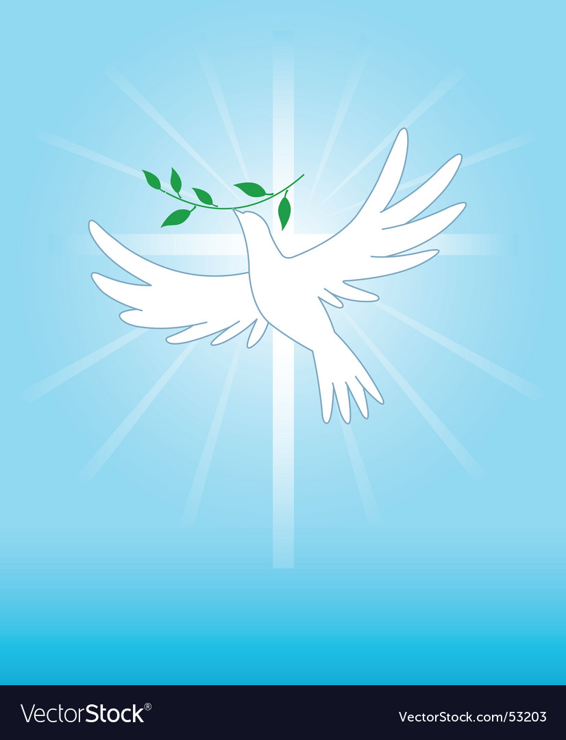 Dove Royalty Free Vector Image - VectorStock