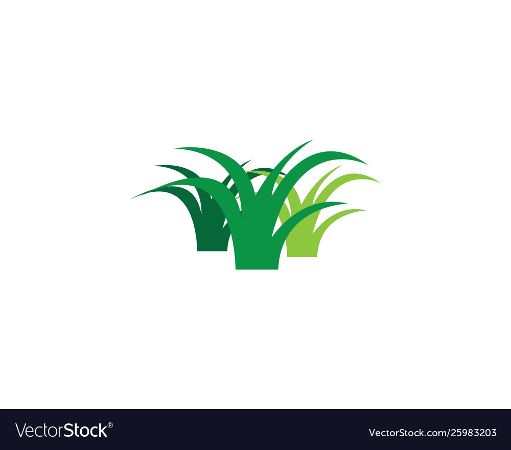 Grass template Royalty Free Vector Image - VectorStock