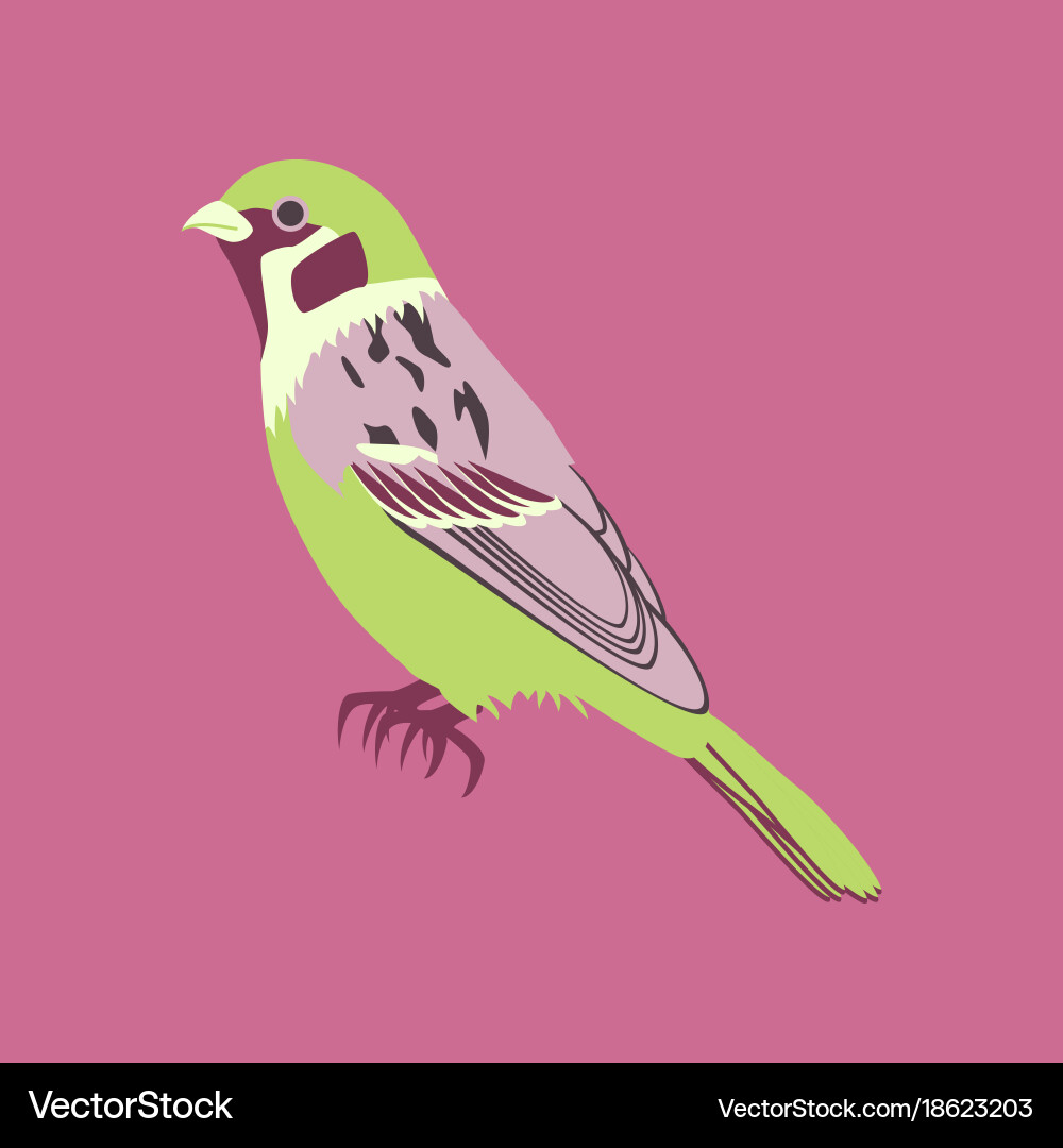 In flat style of sparrow Royalty Free Vector Image