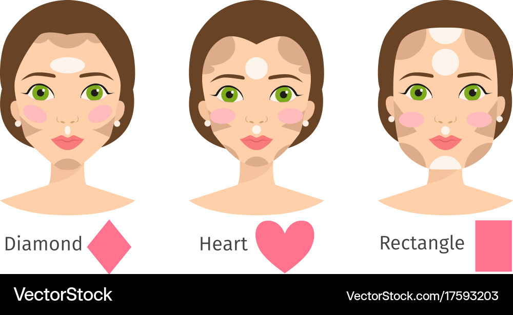 Set of different woman face types Royalty Free Vector Image
