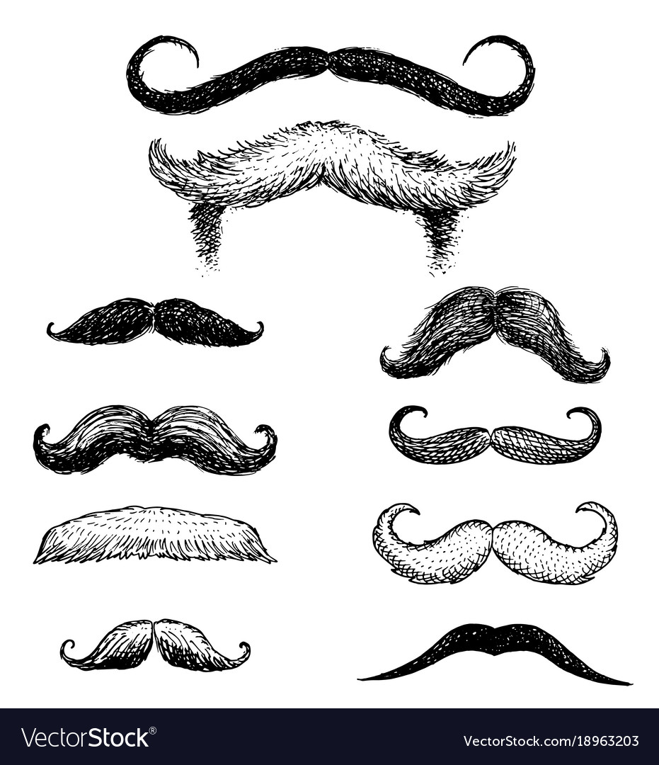 Set Of Mustache And Funny Beard Men Hipster Vector Image