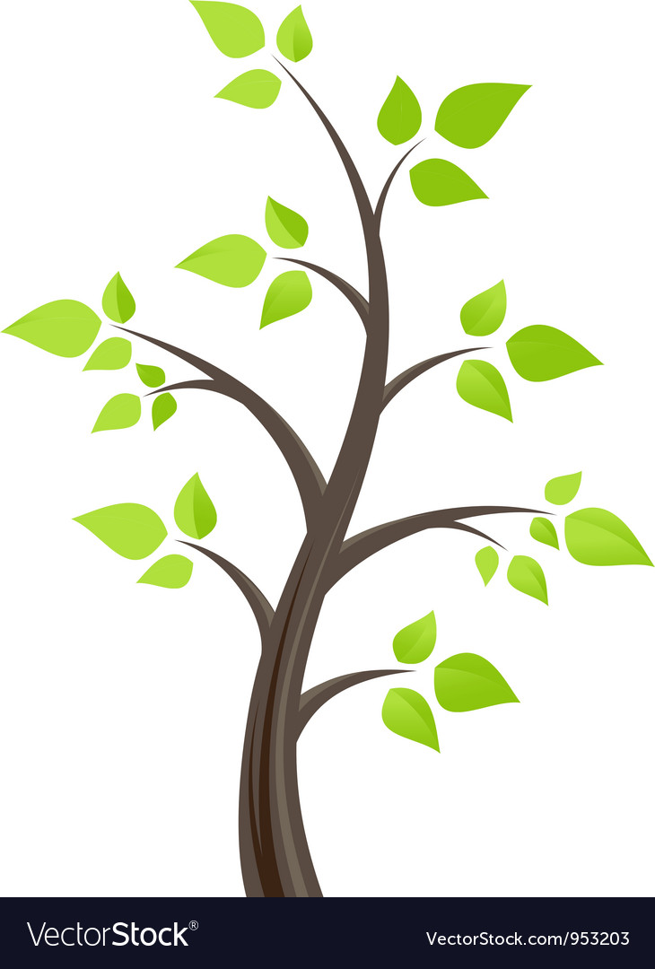 Tree Royalty Free Vector Image - VectorStock