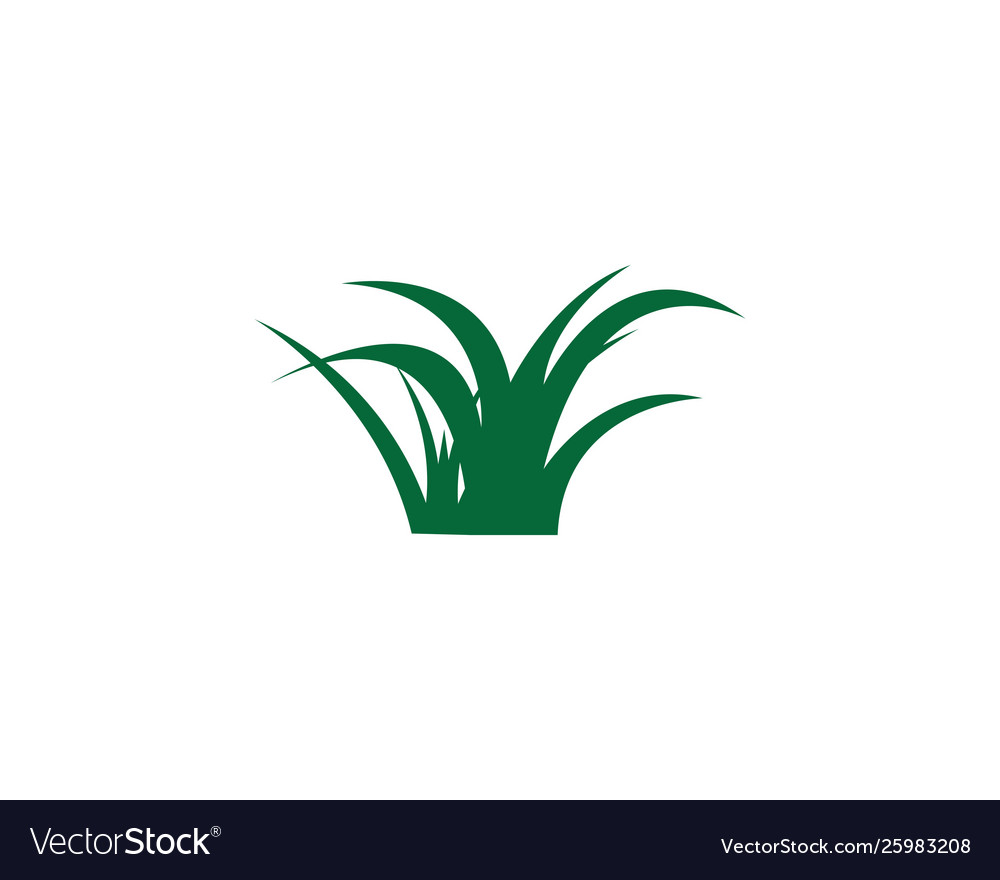 Grass template Royalty Free Vector Image - VectorStock