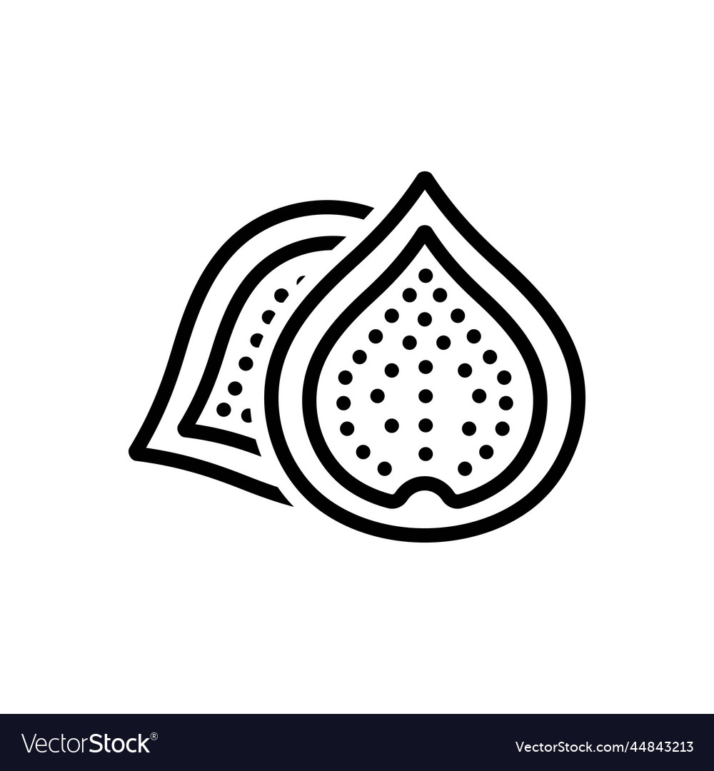 Fig Royalty Free Vector Image - VectorStock
