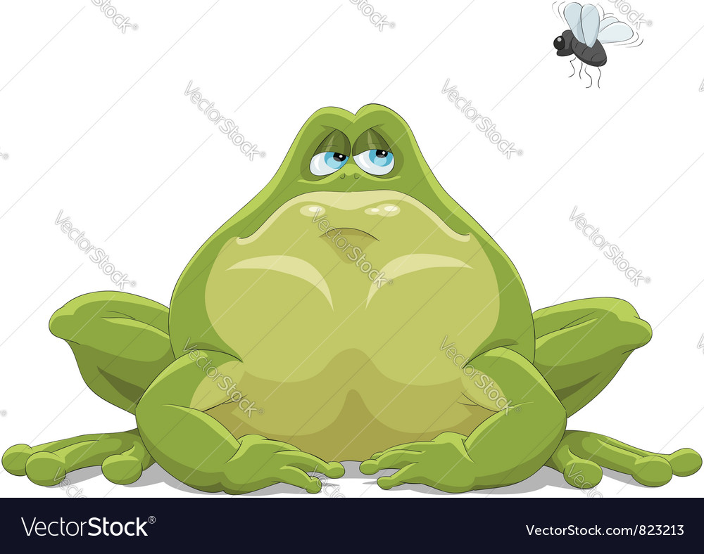 Toad Royalty Free Vector Image - VectorStock