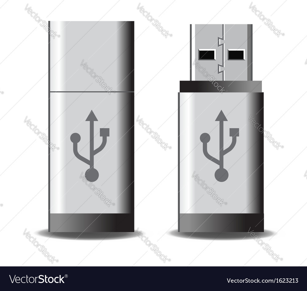 Usb flash Royalty Free Vector Image - VectorStock