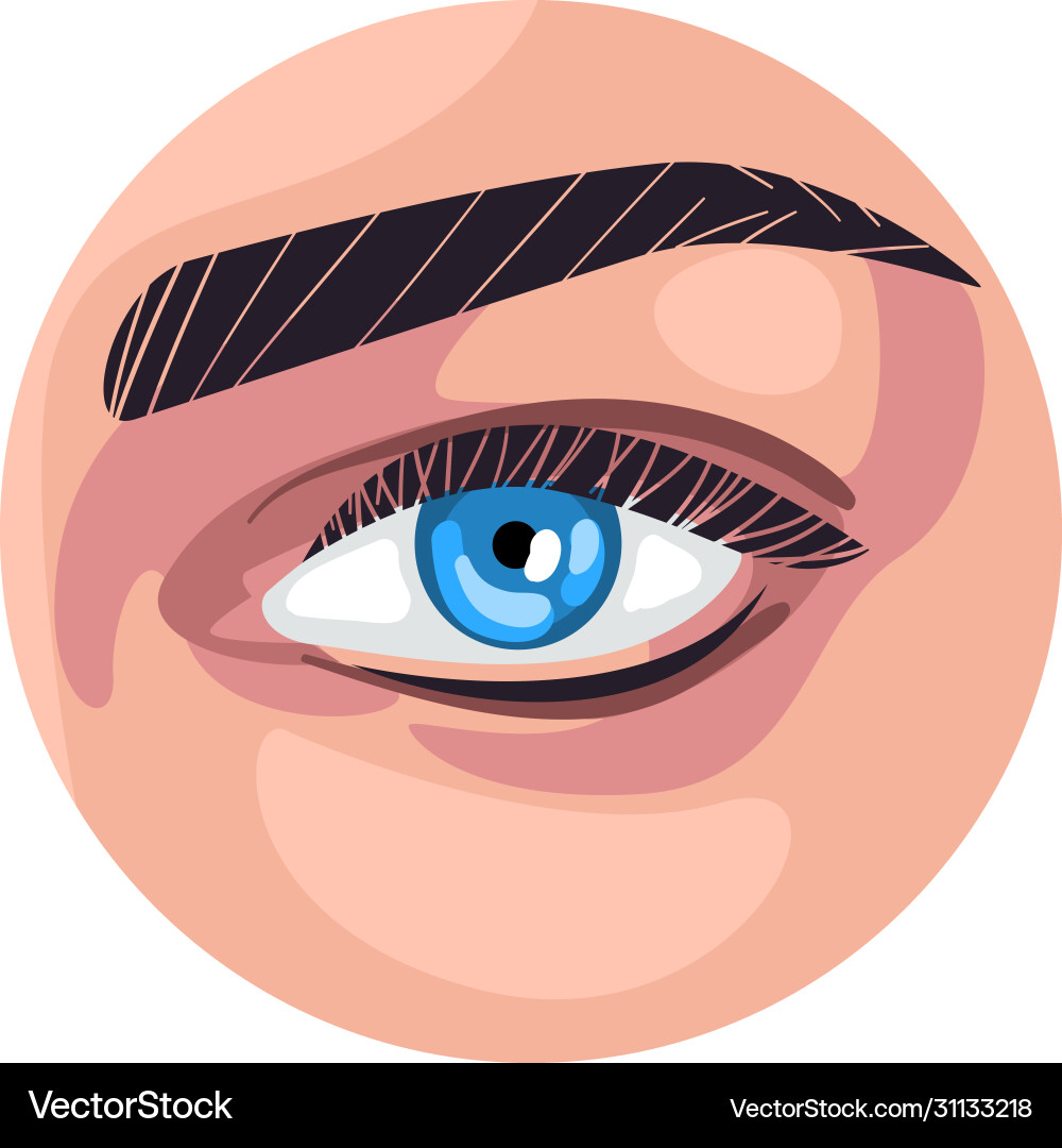 Blue eye in circle part female face Royalty Free Vector