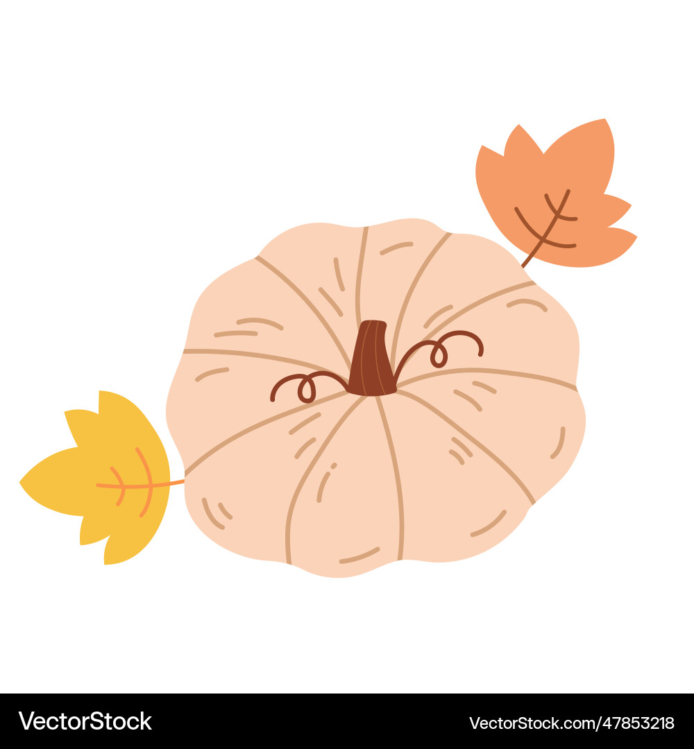 Orange hand drawing pumpkin vegetable and leaves Vector Image