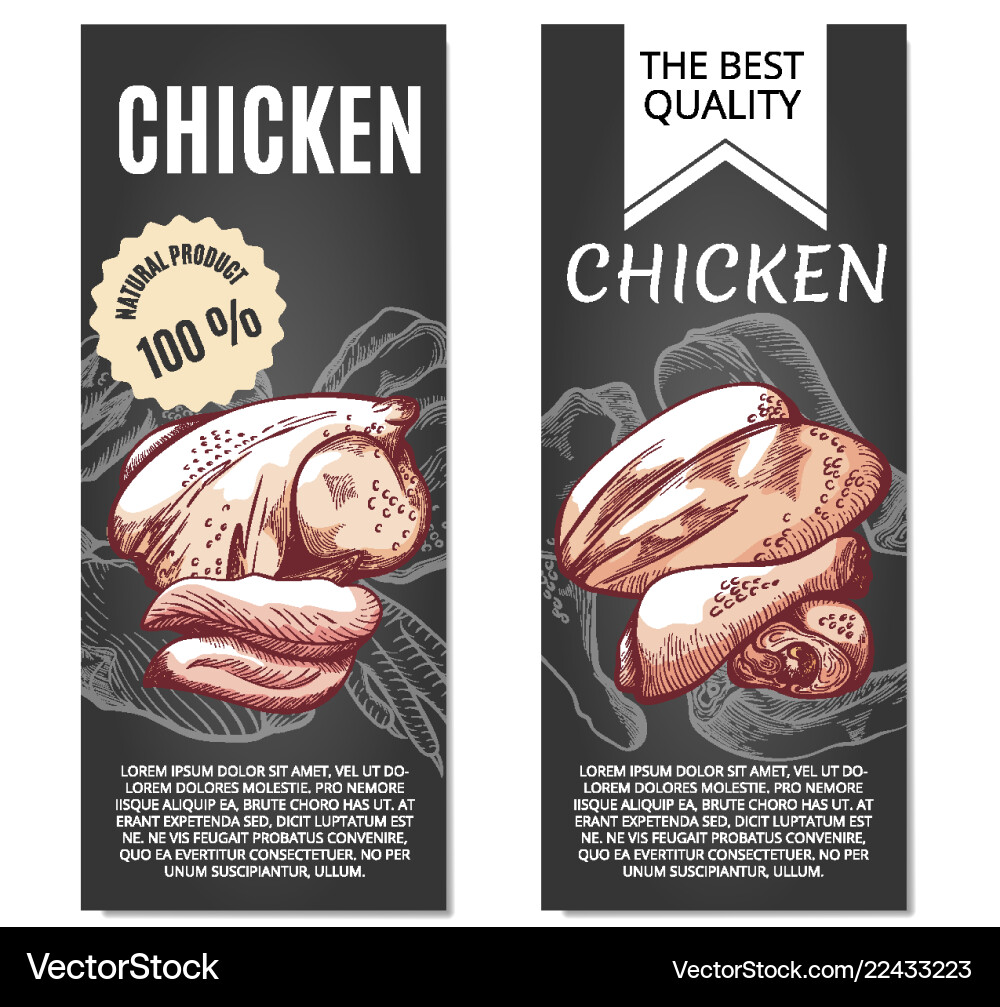 Chicken parts banner with copy space for text Vector Image