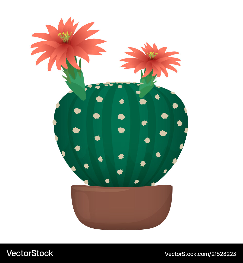 Isolated cartoon cactus in pot Royalty Free Vector Image