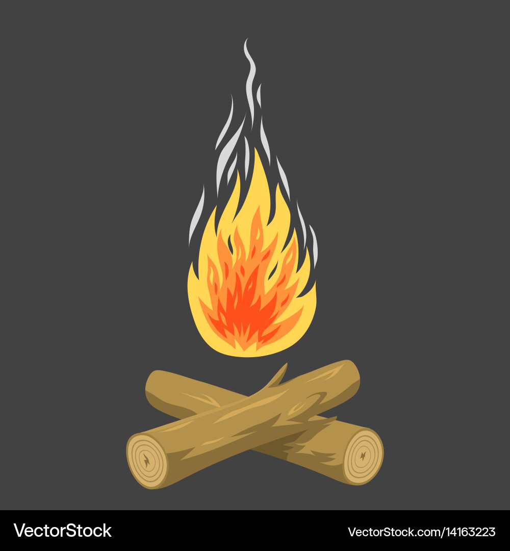 Isolated of campfire logs burning Royalty Free Vector Image