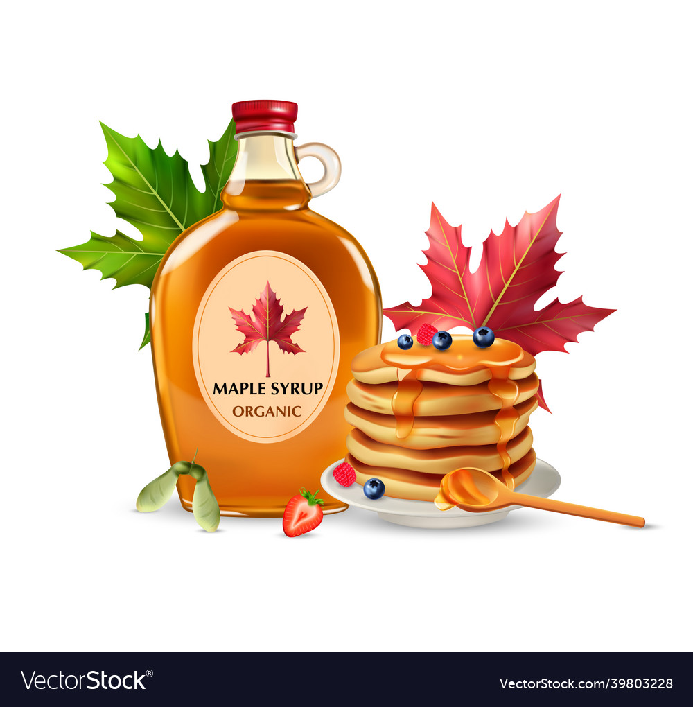 Maple syrup Royalty Free Vector Image - VectorStock