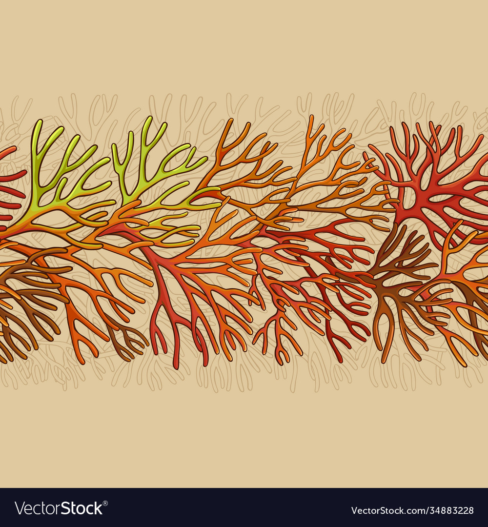 Sea moss pattern Royalty Free Vector Image - VectorStock