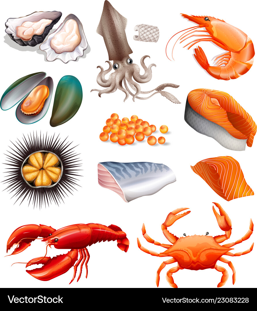 Set of seafood on white background Royalty Free Vector Image