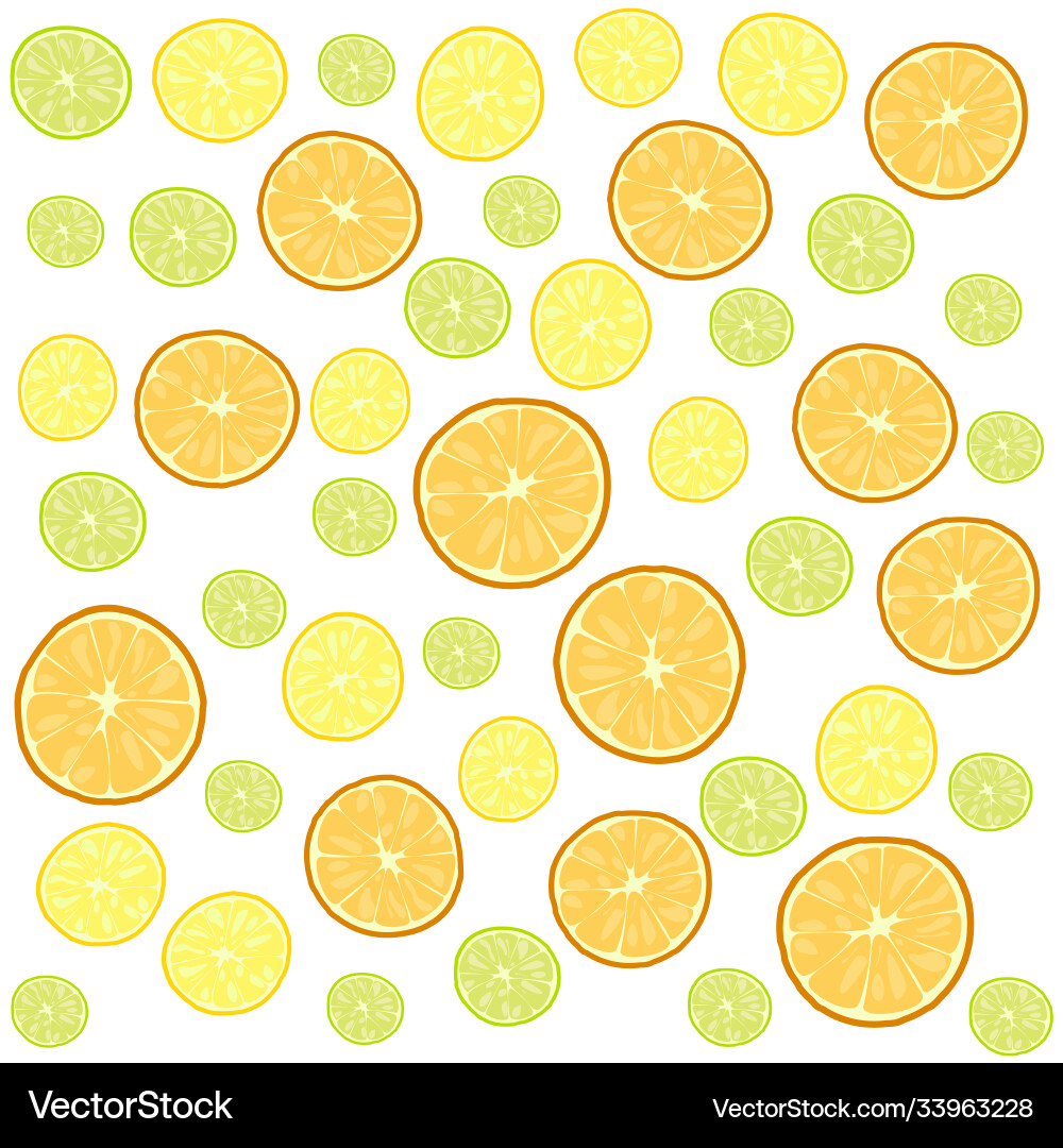 Set slice citrus tropical fruits Royalty Free Vector Image
