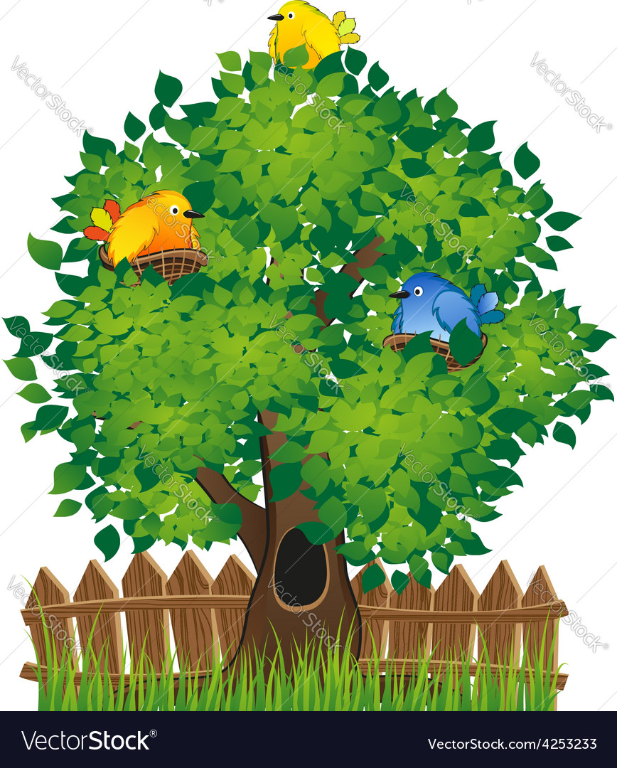Tree and birds Royalty Free Vector Image - VectorStock