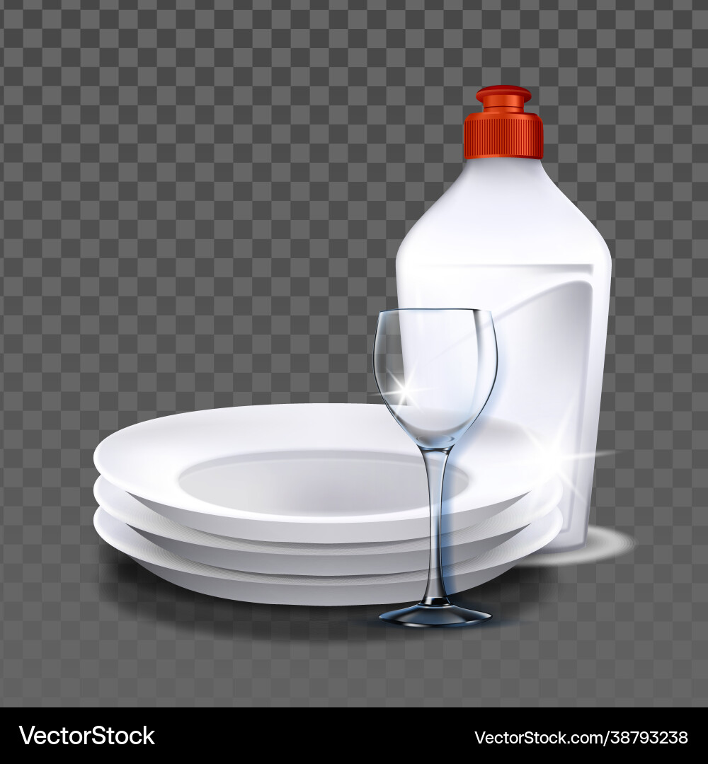 Plates and wineglass washed with detergent Vector Image