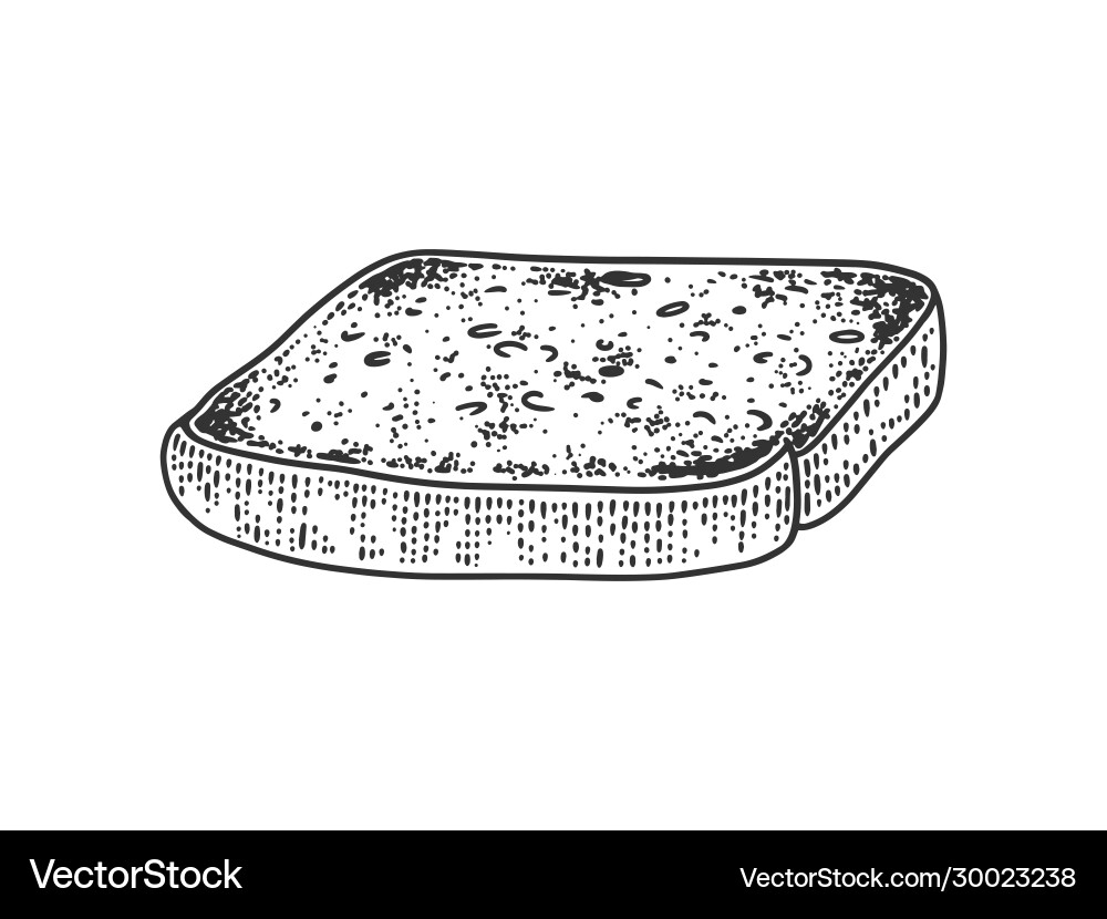 Toaster bread sketch Royalty Free Vector Image