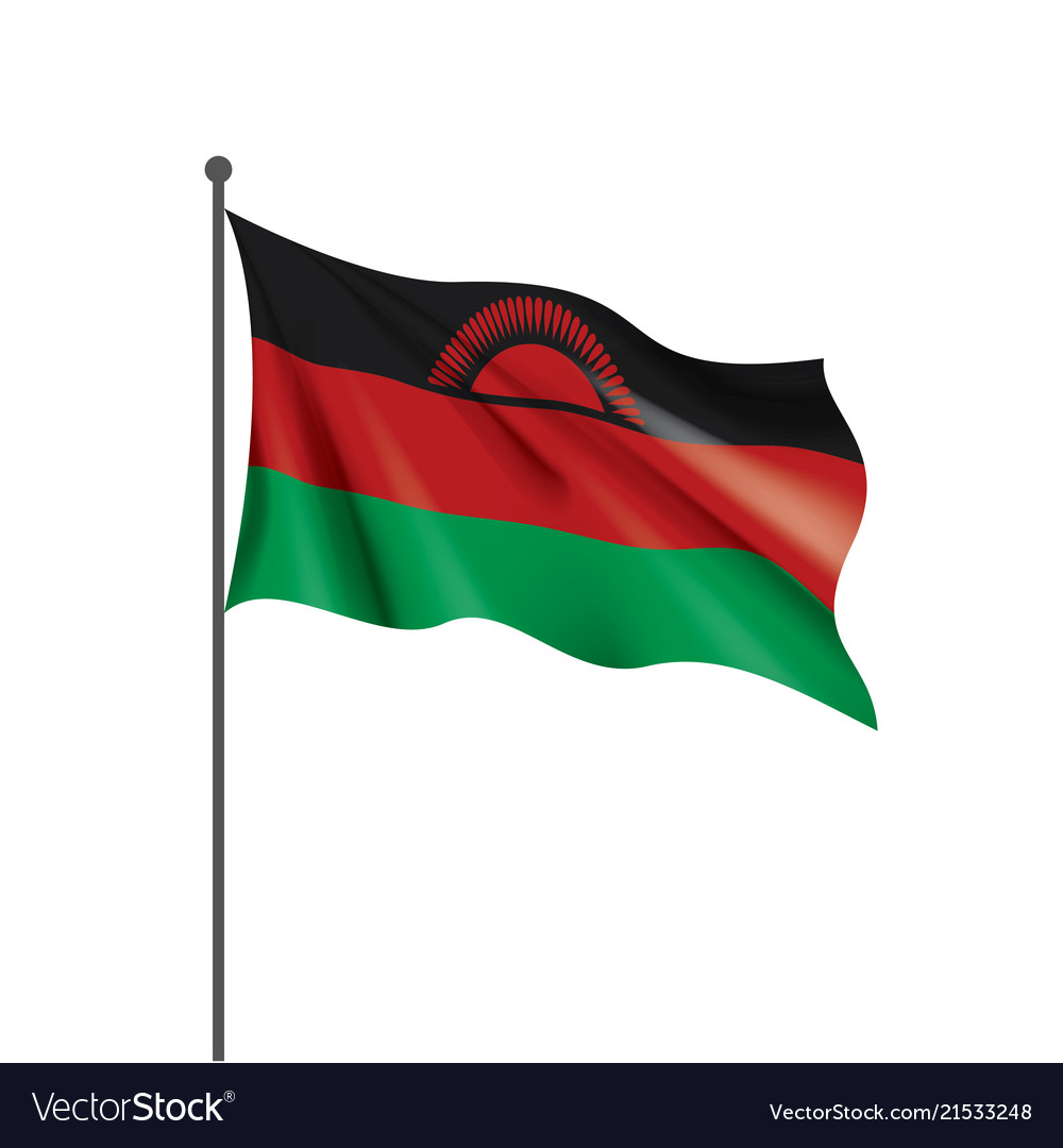 Malawi flag on a white Royalty Free Vector Image