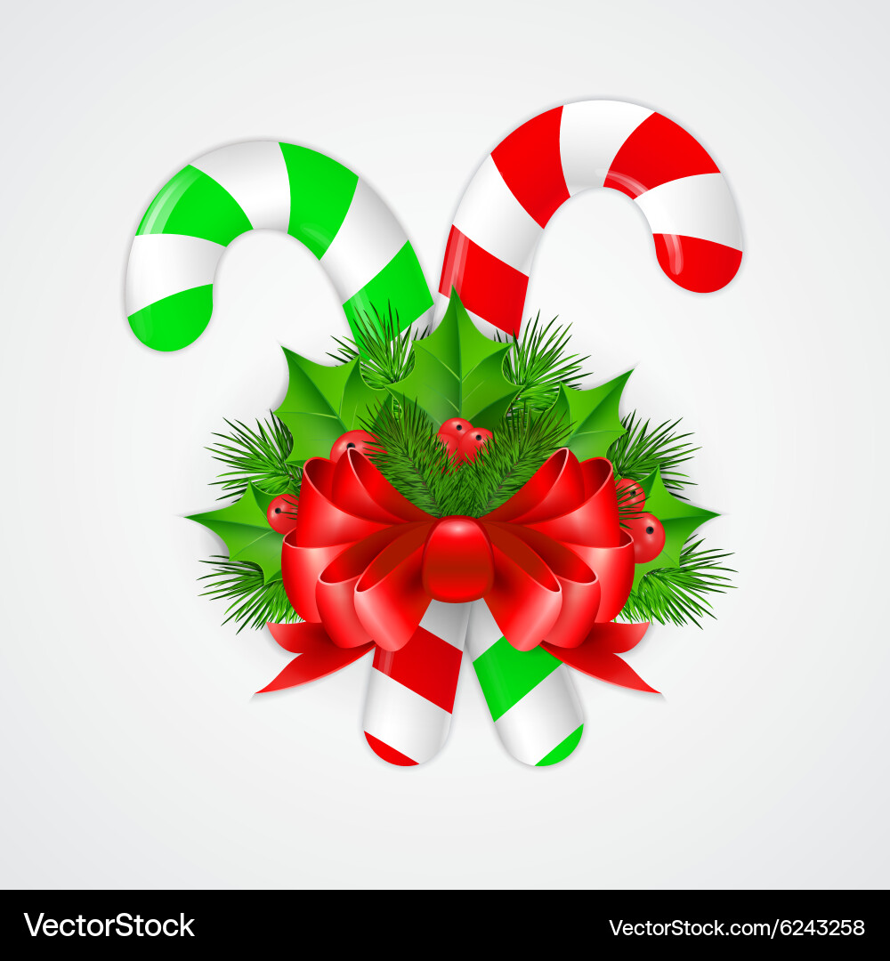 Traditional christmas candy cane with decor Vector Image