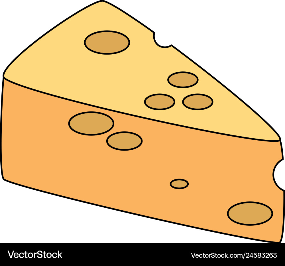 Cheese piece healthy food Royalty Free Vector Image