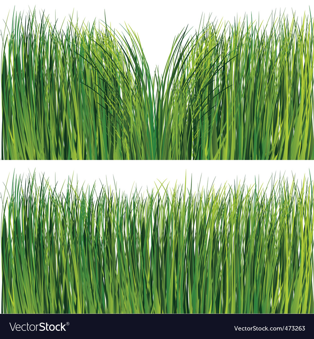 Grass set Royalty Free Vector Image - VectorStock