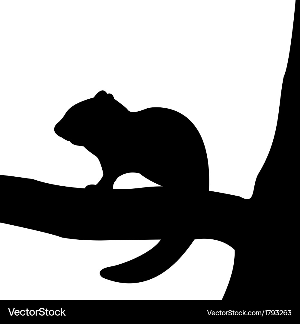 Silhouette of chipmunk on the tree Royalty Free Vector Image