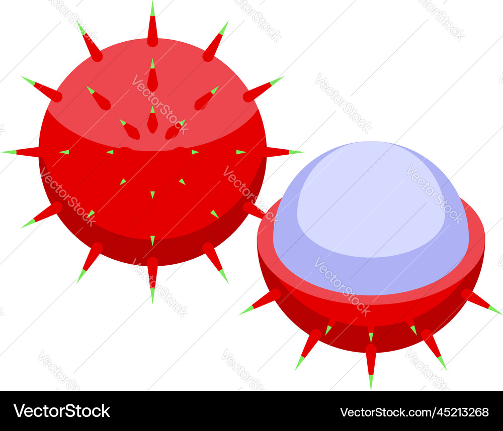 Philippines red nut icon isometric food Royalty Free Vector