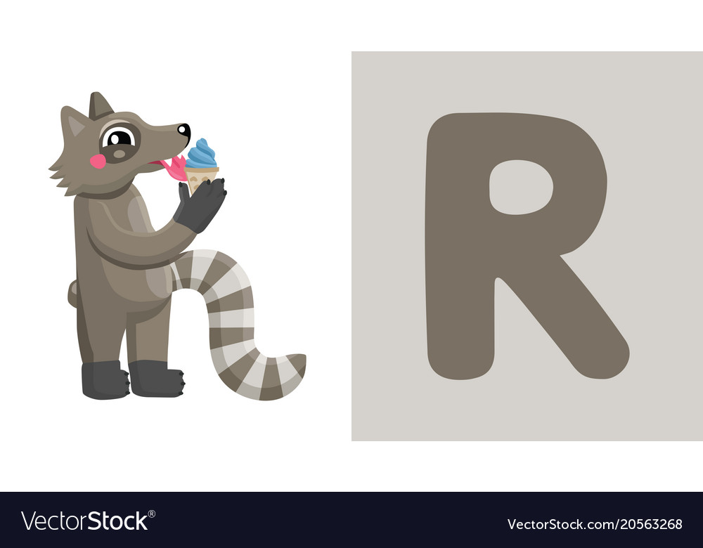 R is for raccoon letter raccoon cute Royalty Free Vector