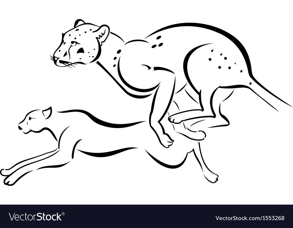 Two running leopard Royalty Free Vector Image - VectorStock