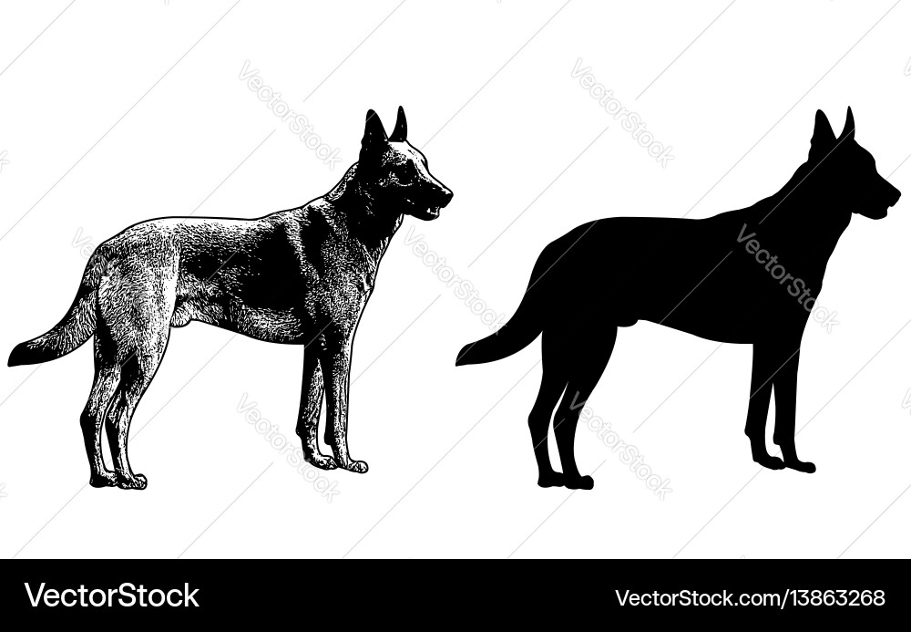 Watchdog silhouette and sketch Royalty Free Vector Image