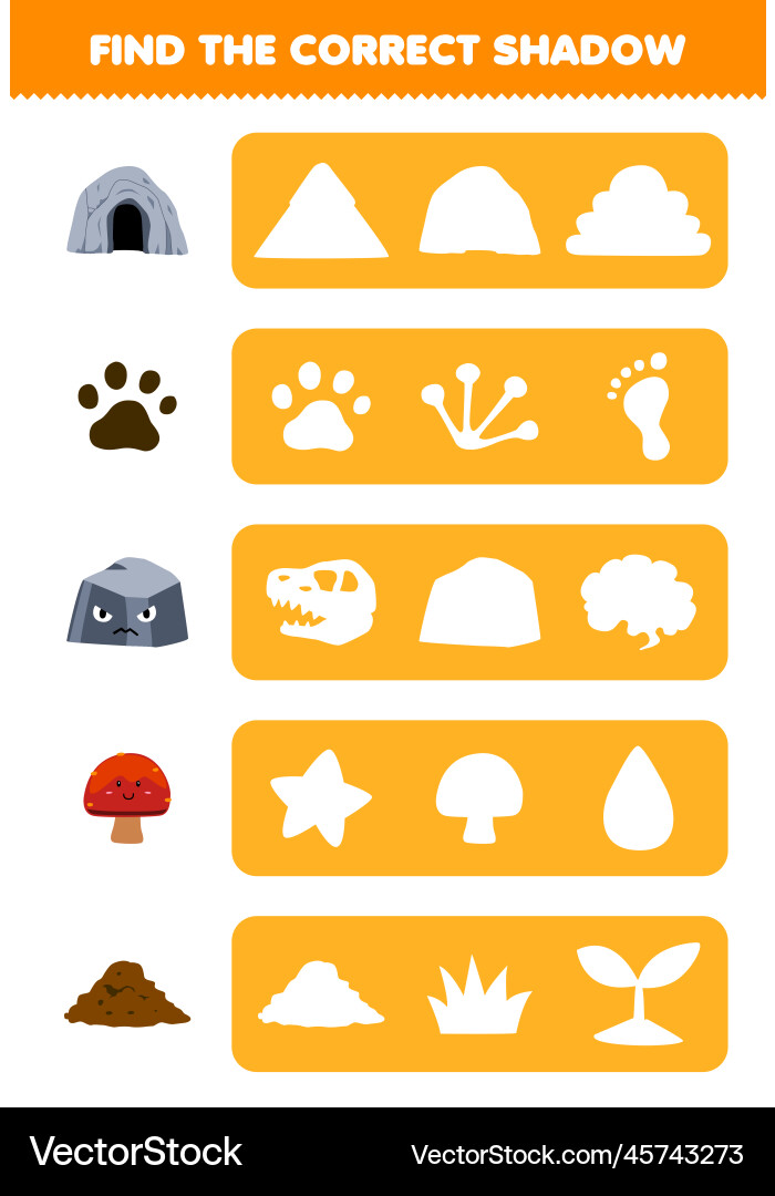 Education game for children find the correct Vector Image