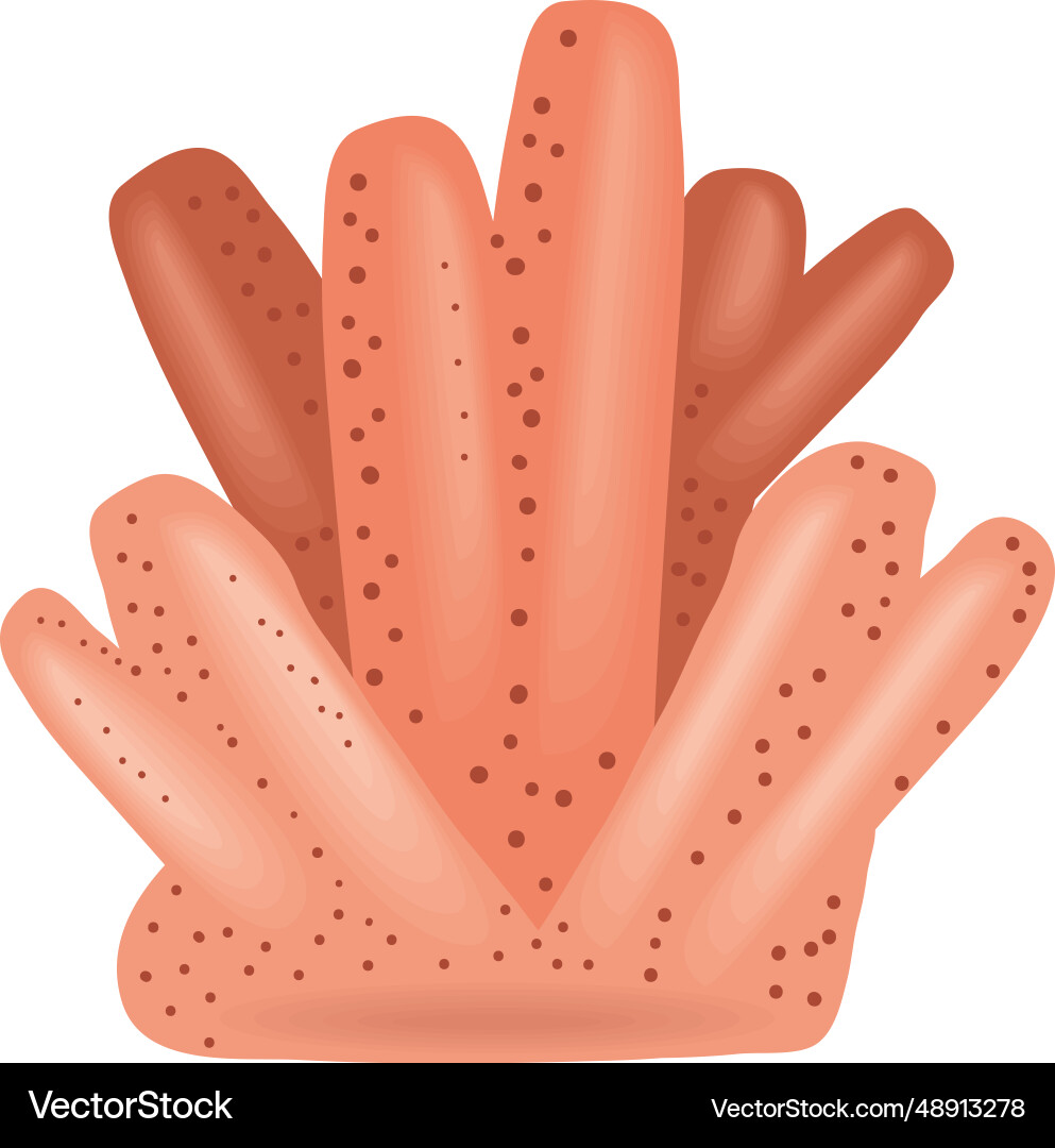 Coral sea life Royalty Free Vector Image - VectorStock