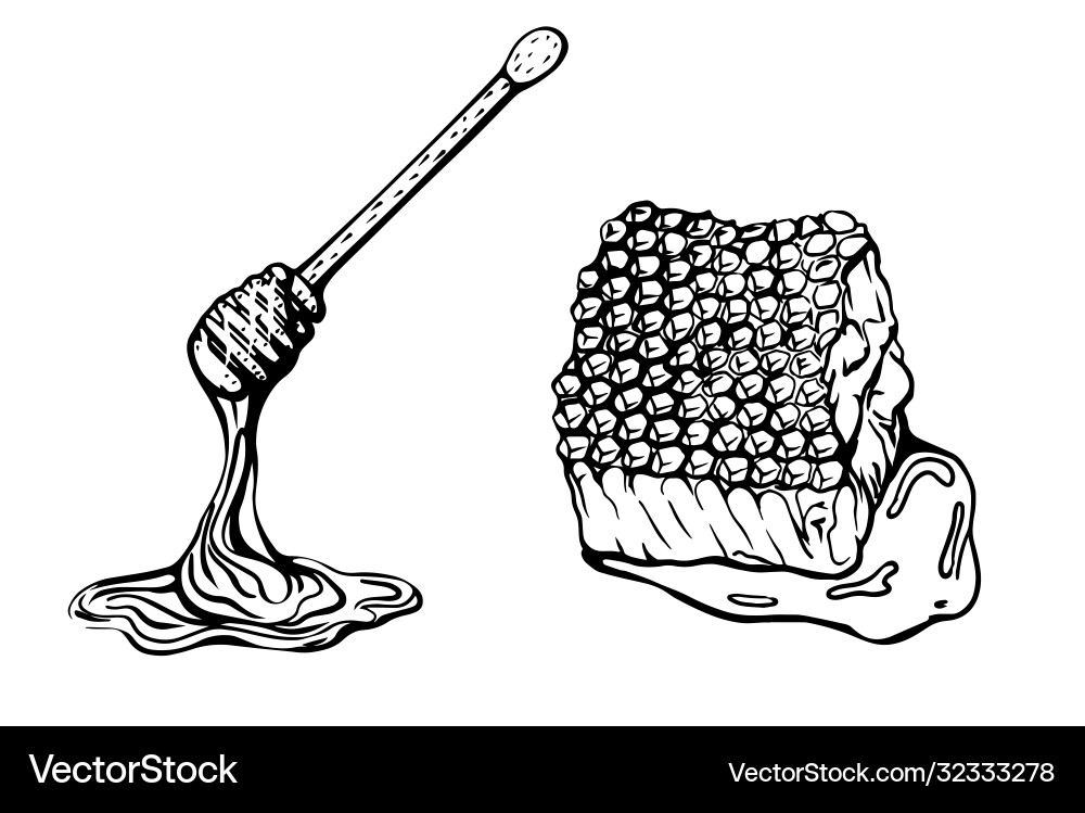 Honeycomb isolated on a white background beeswax Vector Image