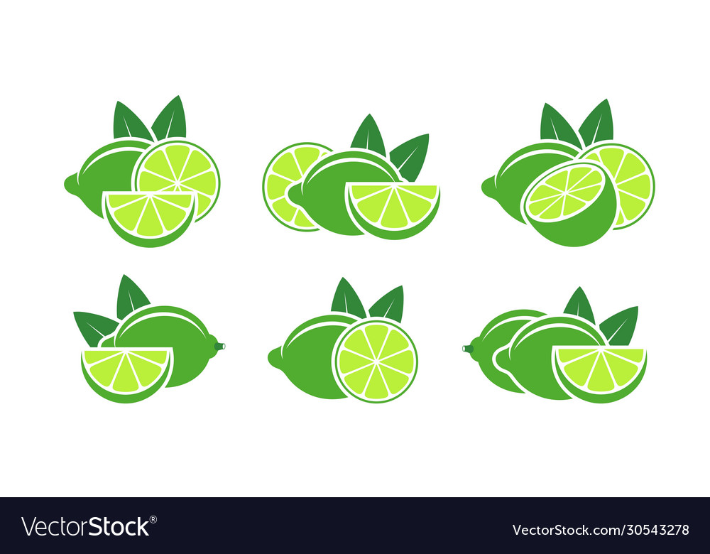 Lime Royalty Free Vector Image - VectorStock