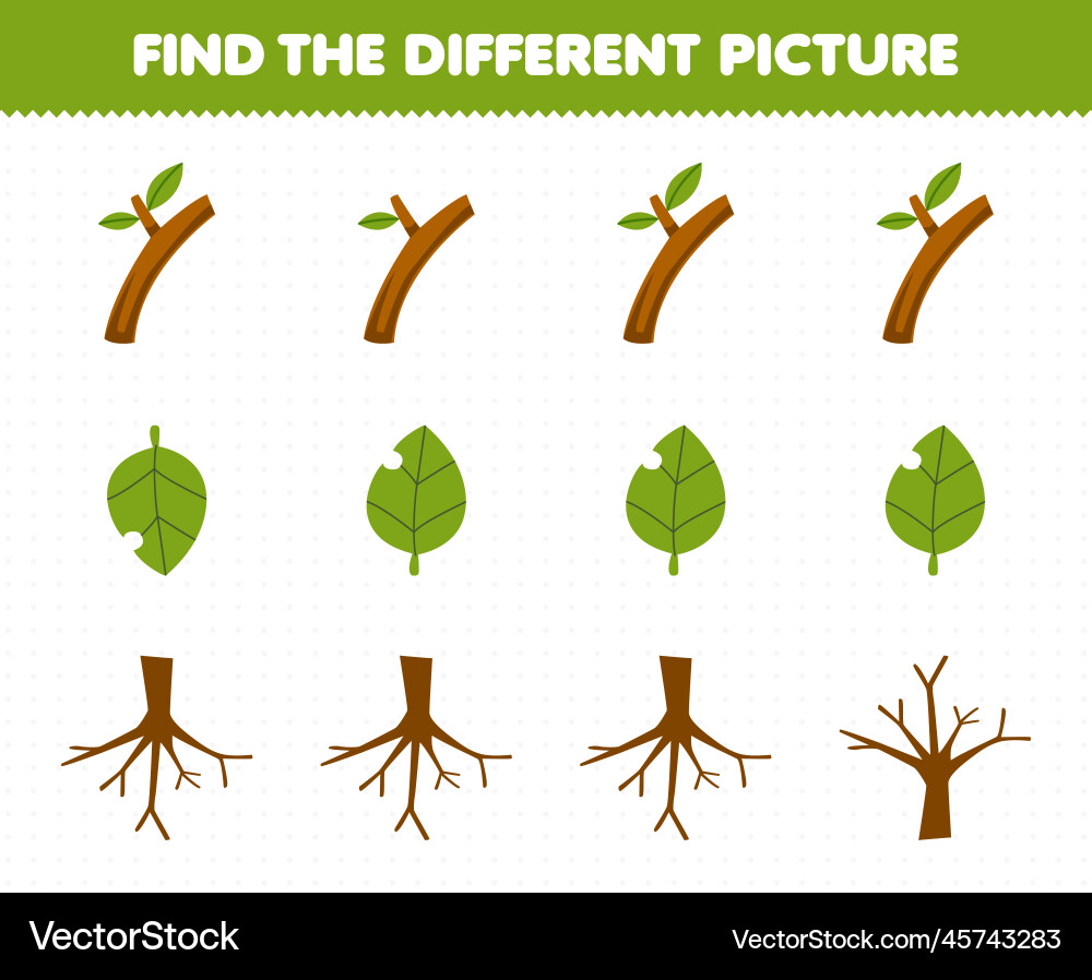 Education game for children find the different Vector Image