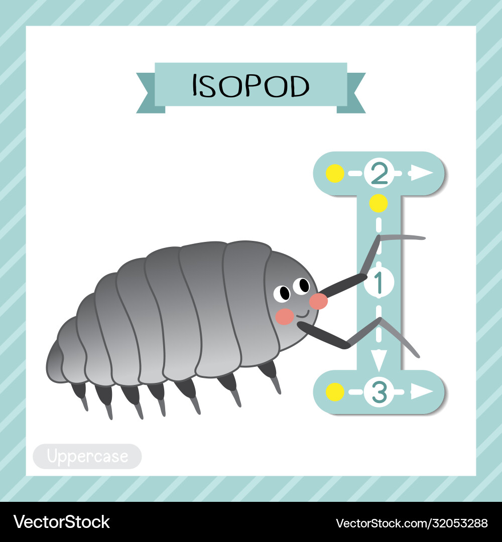 Letter i uppercase tracing isopod Royalty Free Vector Image