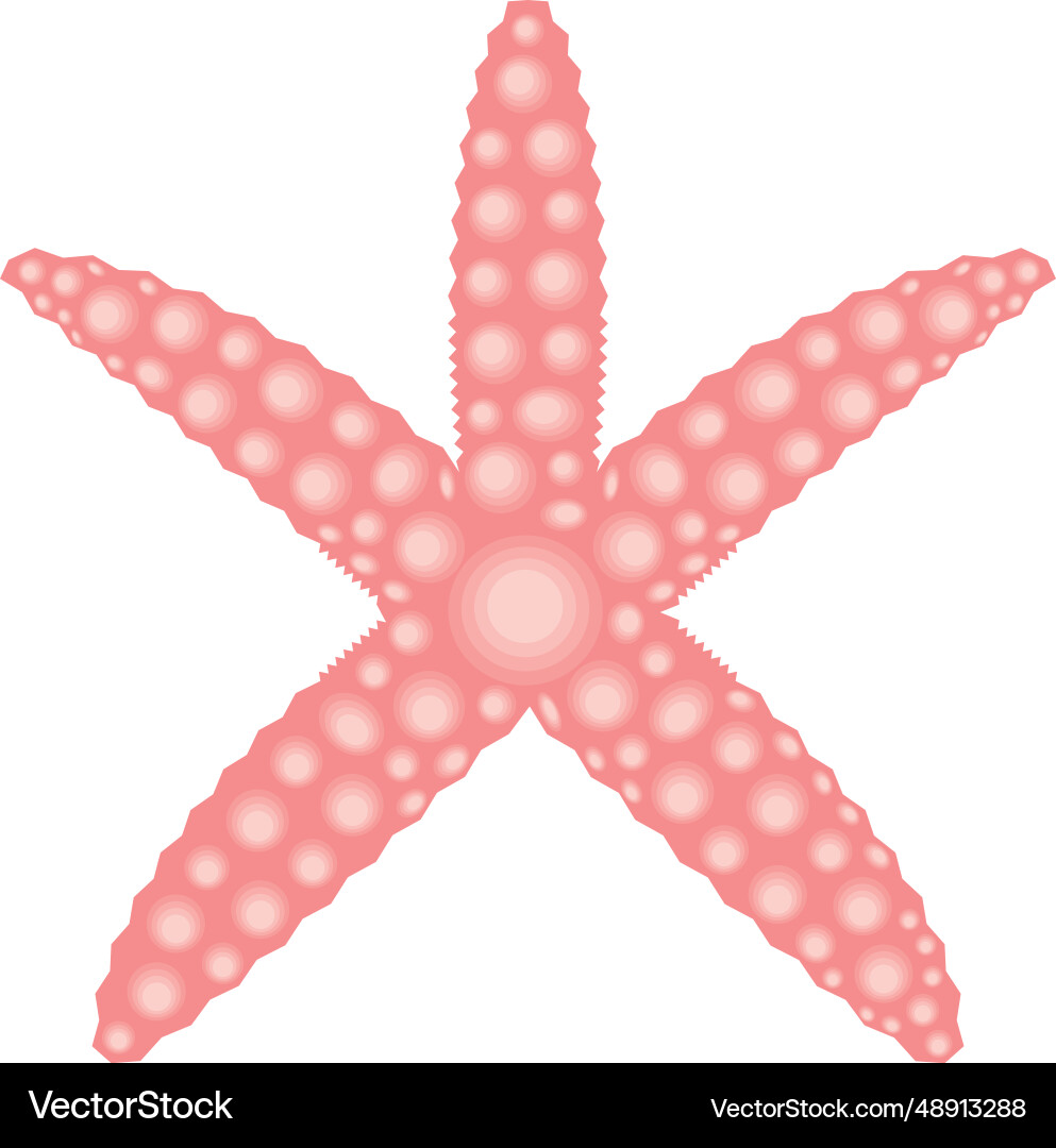 Pink starfish sea life design Royalty Free Vector Image