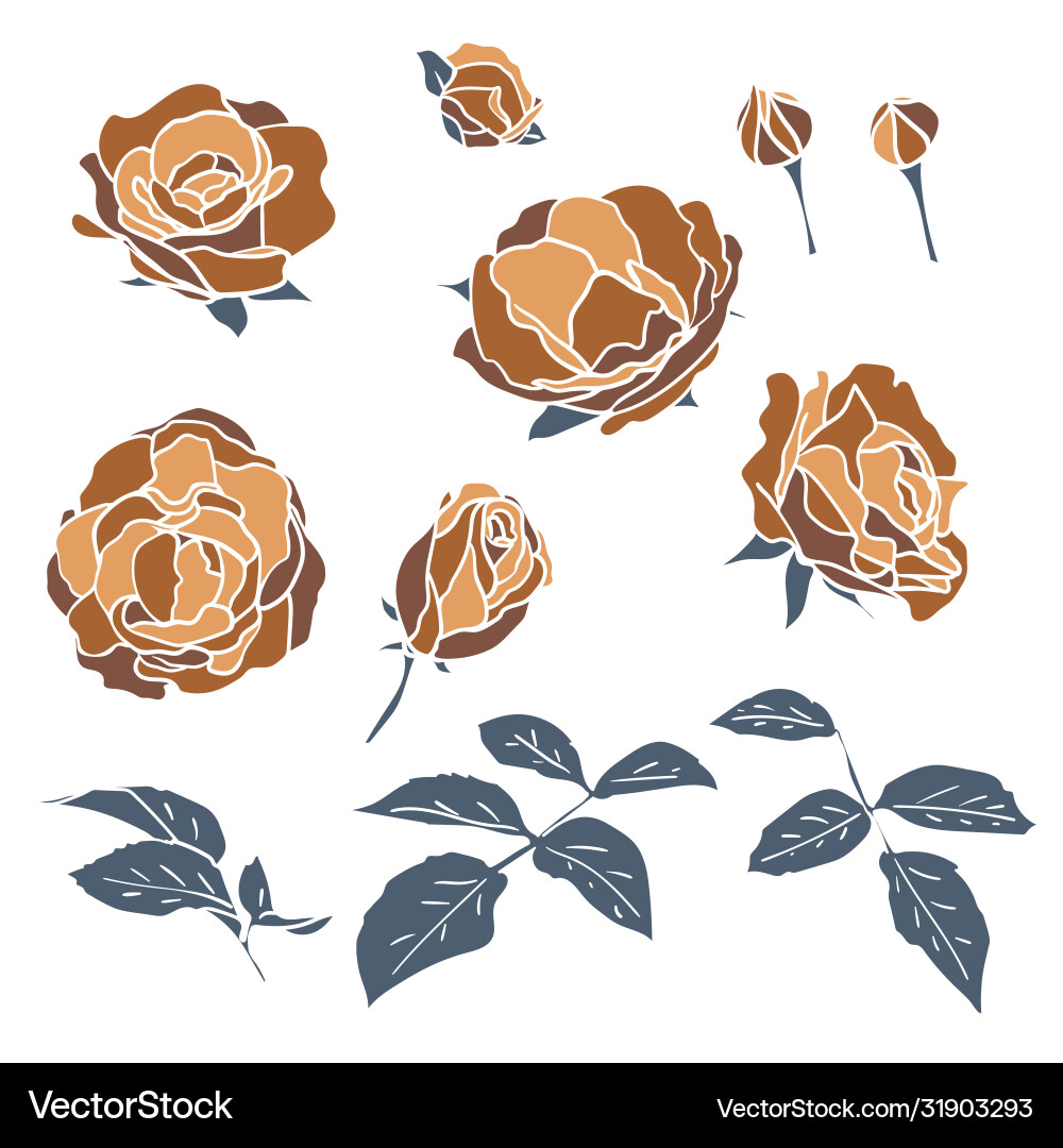 Set coffee colored roses with leaves and buds Vector Image
