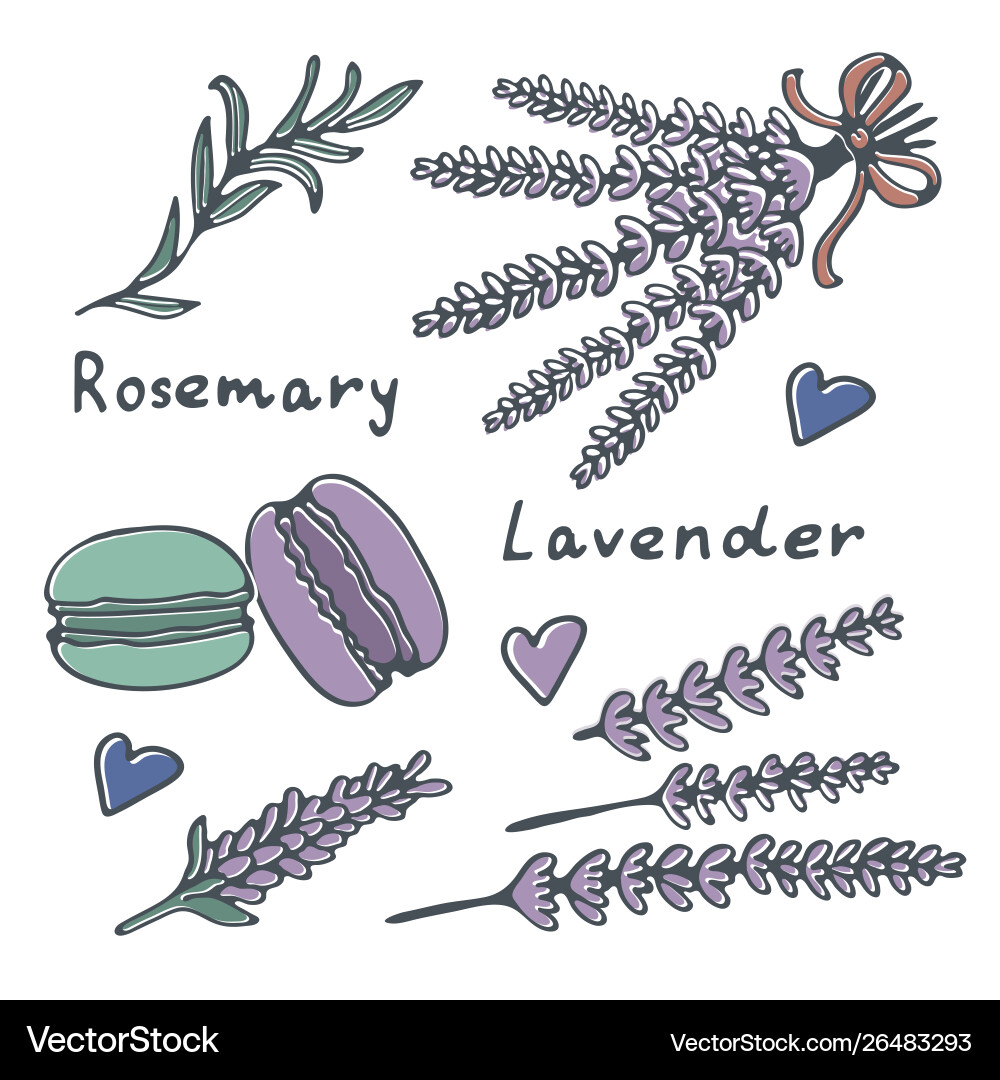 Stylish herbs collection with hand lettering Vector Image
