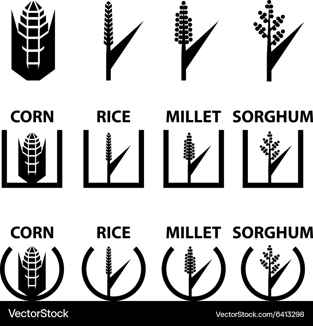 Corn rice millet sorghum cereal symbols Royalty Free Vector