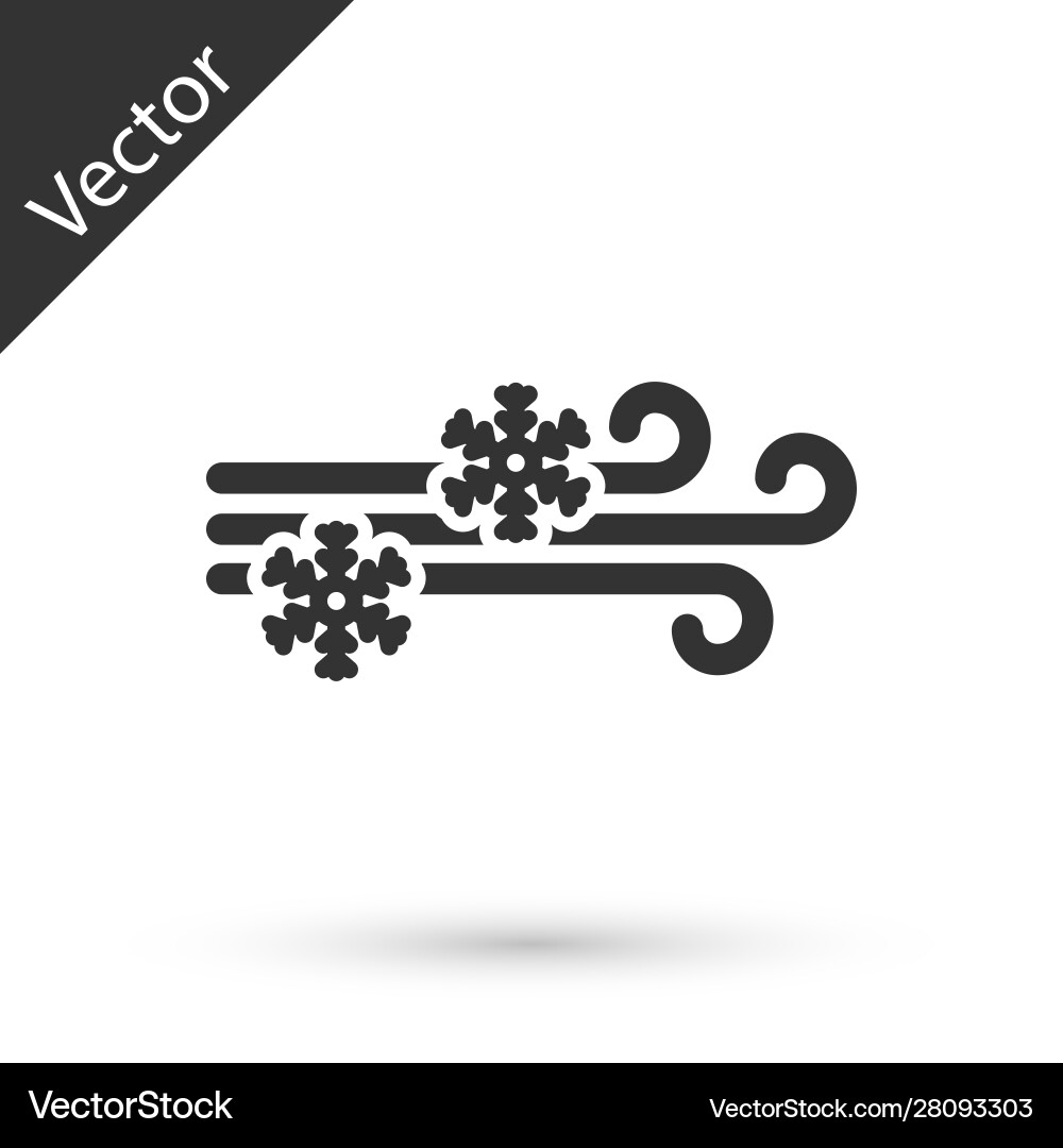 Grey wind and snow icon isolated on white Vector Image
