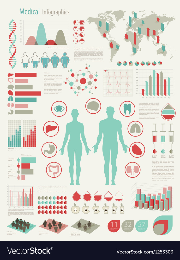 Infomedical Royalty Free Vector Image - VectorStock